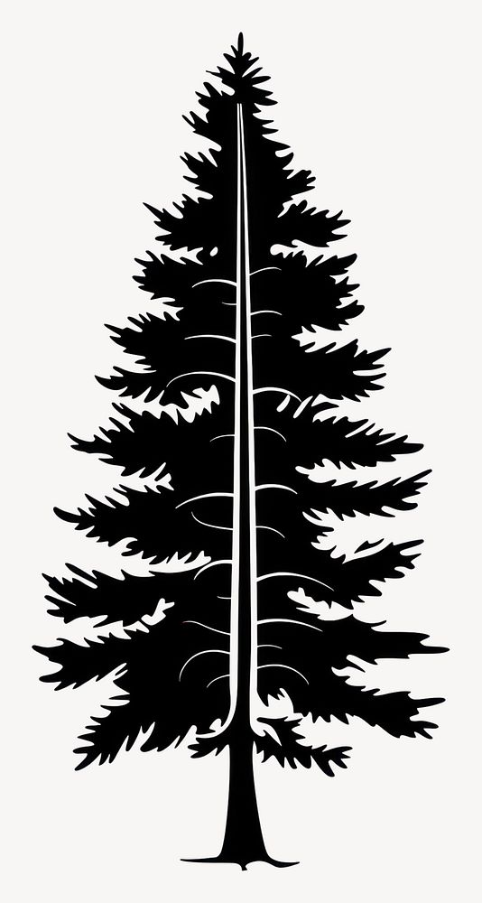 Spruce tree silhouette botanical art | Free Vector Illustration - rawpixel