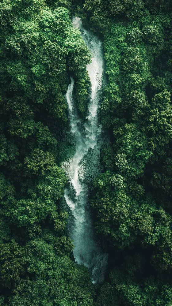 Aesthetic scene waterfall nature forest | Free Photo - rawpixel