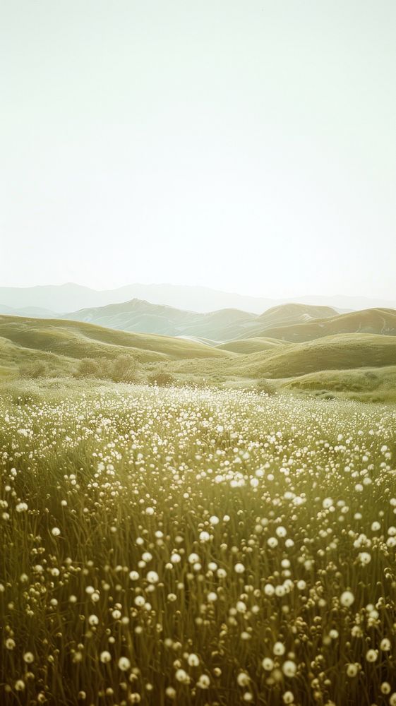 Spring flower hills landscape outdoors | Free Photo - rawpixel