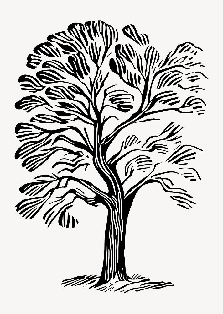 Maple tree drawing art white | Free Vector - rawpixel