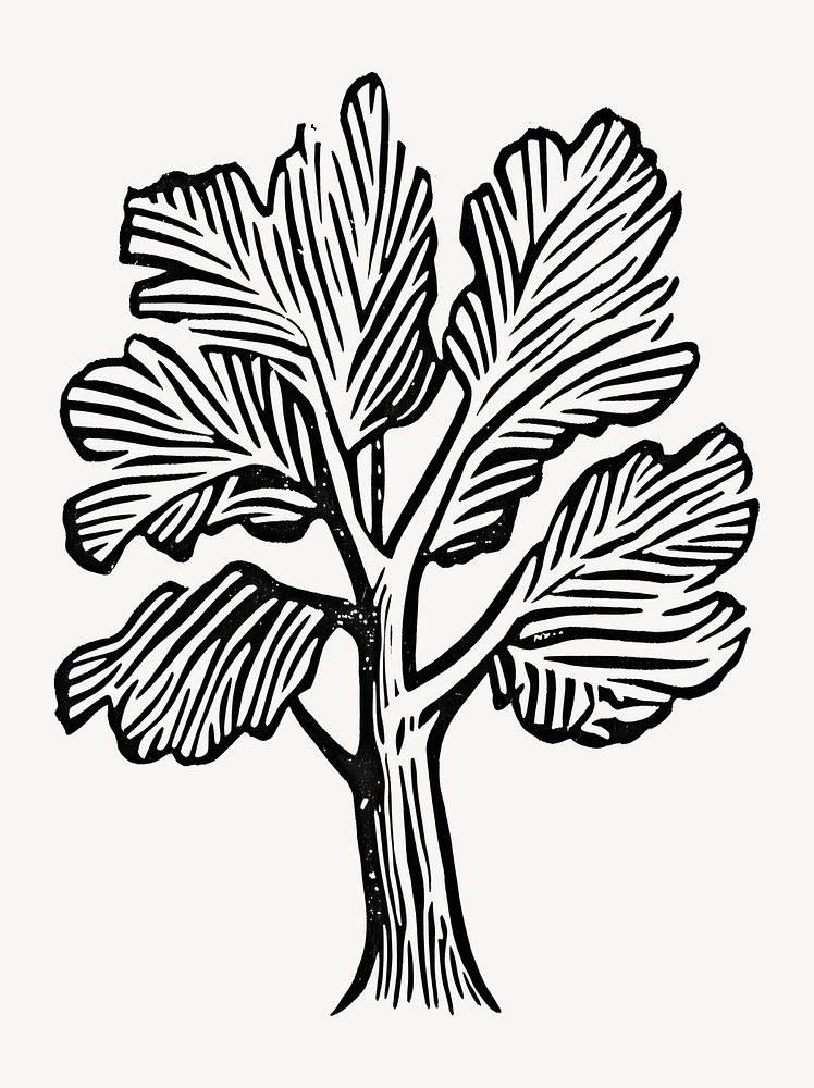 American sycamore tree drawing art | Free Vector - rawpixel