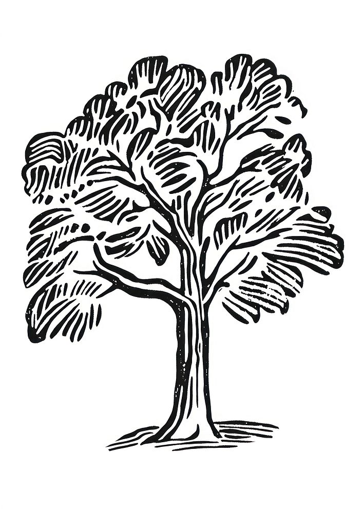 American sycamore tree drawing art | Free Photo Illustration - rawpixel