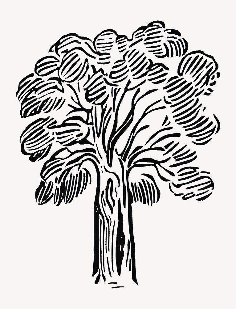 American sycamore tree drawing art | Free Vector - rawpixel
