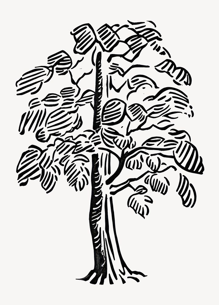 American sycamore tree drawing art | Free Vector - rawpixel