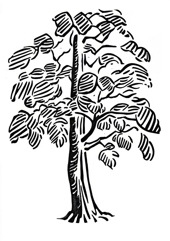 American sycamore tree drawing art | Free Photo Illustration - rawpixel
