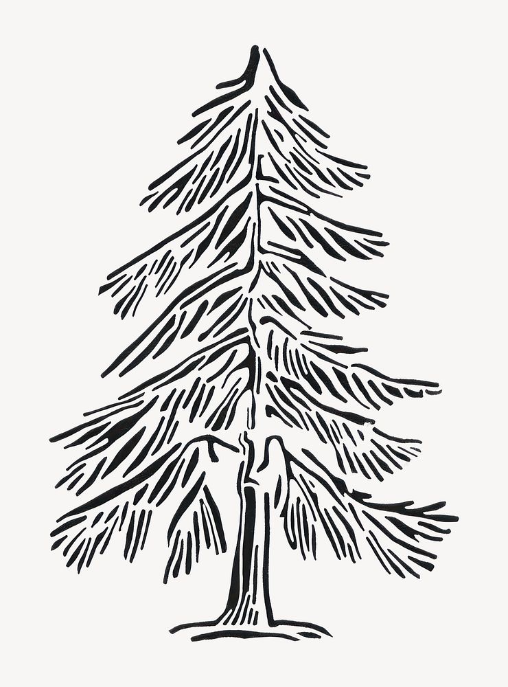 Blue spruce tree drawing art | Free Vector - rawpixel