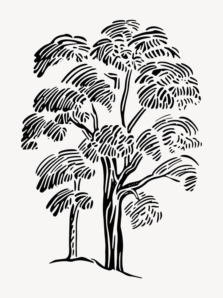 Chestnut tree drawing art white | Free Vector - rawpixel