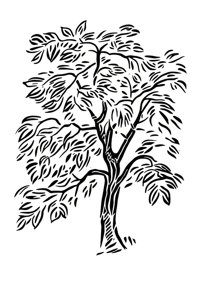 Chestnut tree drawing art sketch. | Free Photo Illustration - rawpixel