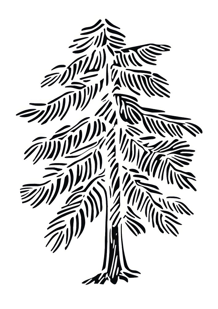 Pine tree drawing art sketch. | Free Photo Illustration - rawpixel