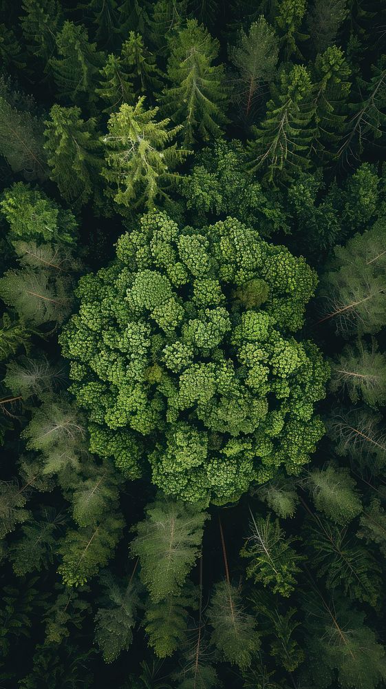 Aerial top view Galaxy nature | Free Photo - rawpixel
