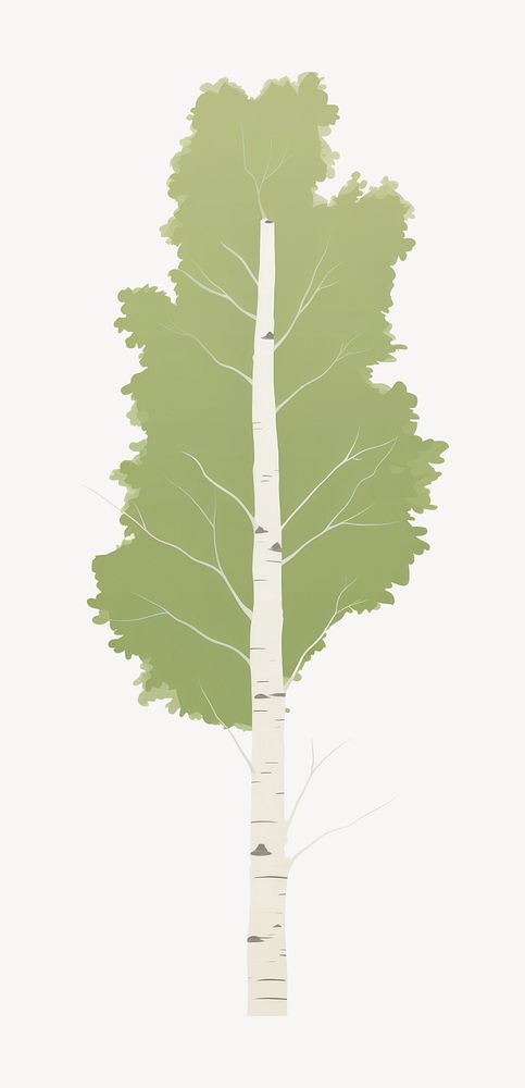 Birch tree illustration botanical symbol | Free Vector - rawpixel