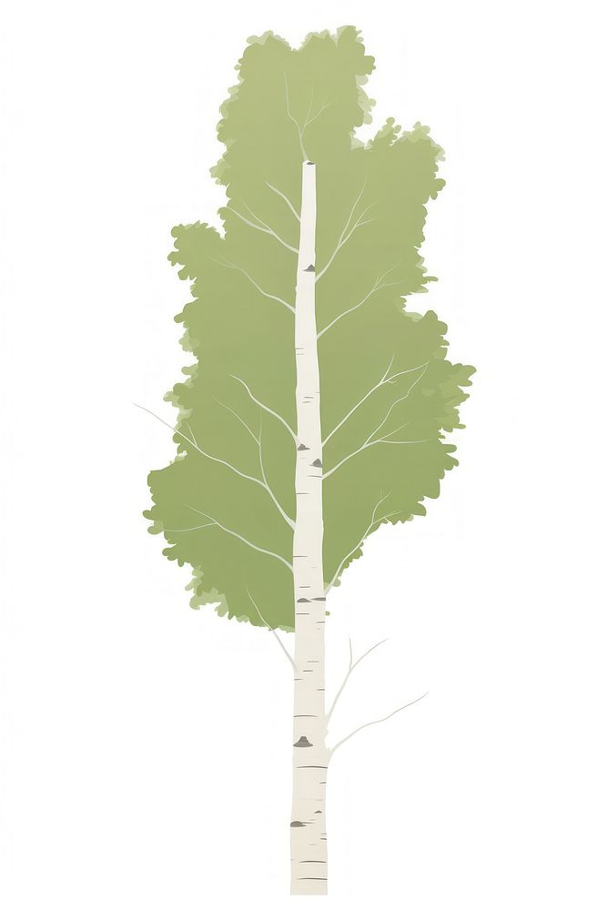 Birch tree illustration botanical symbol. | Free Photo Illustration ...
