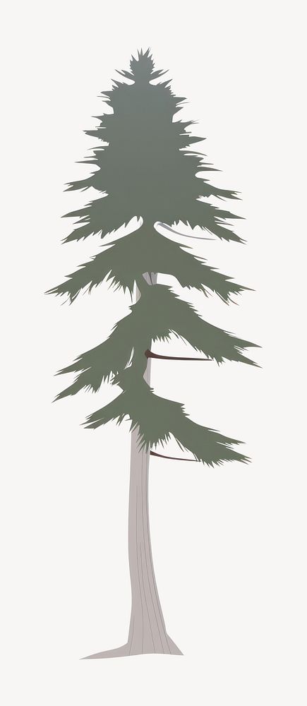 Thin tall cypress tree illustration | Free Vector - rawpixel