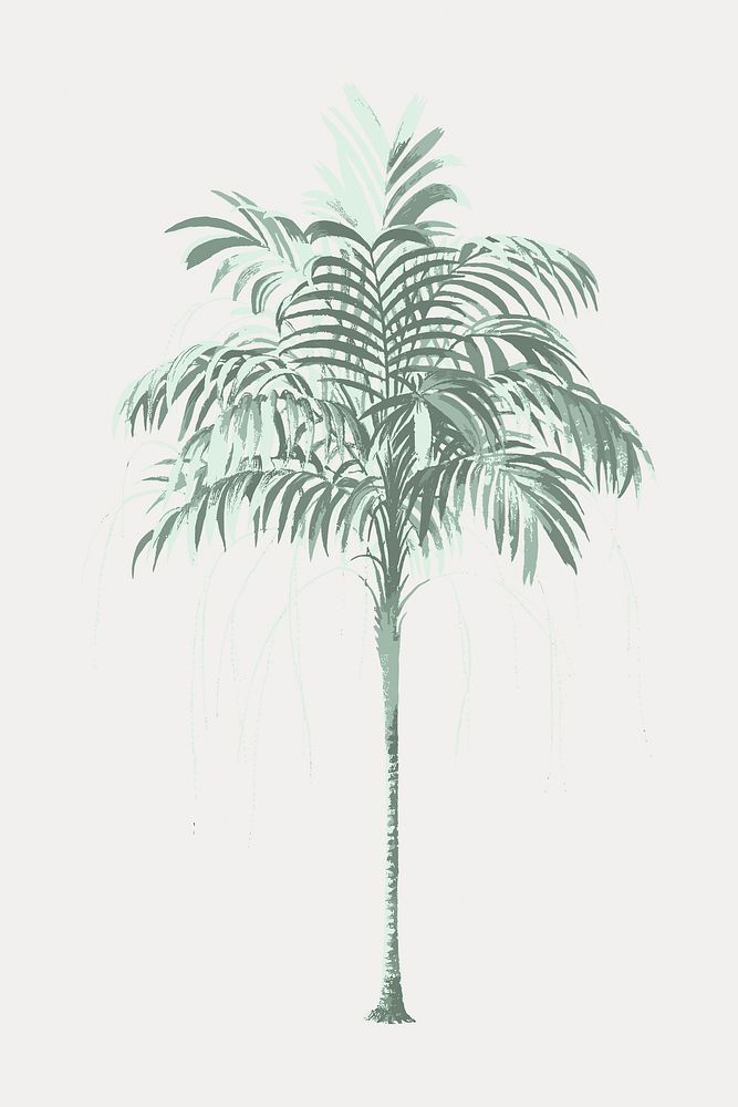 Vintage palm tree illustration isolated | Free Vector - rawpixel
