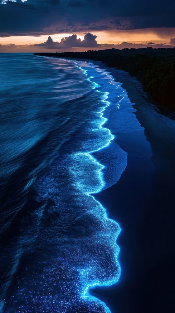 Mesmerizing aerial view shoreline bioluminescent | Free Photo - rawpixel