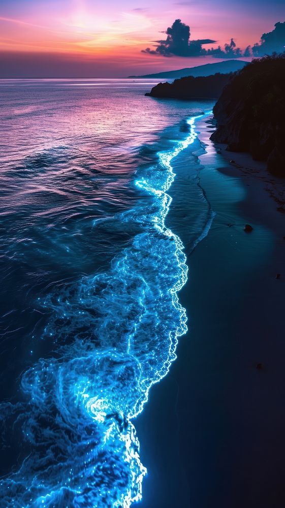 Mesmerizing aerial view shoreline bioluminescent | Free Photo - rawpixel