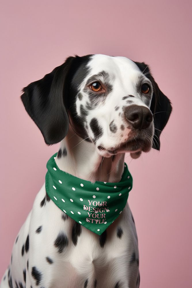 Downloads+images Mockup Hd Images | Free Photos, PNG Stickers ...