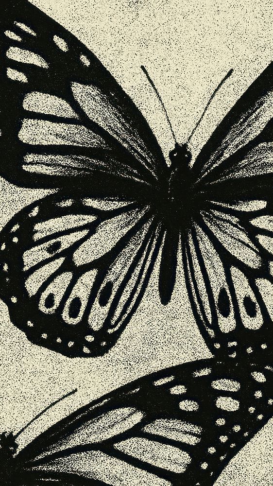 Vintage Butterfly Drawings Design Images | Free Photos, PNG Stickers ...