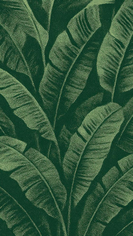 Dark Green Botanical Texture Images | Free Photos, PNG Stickers ...