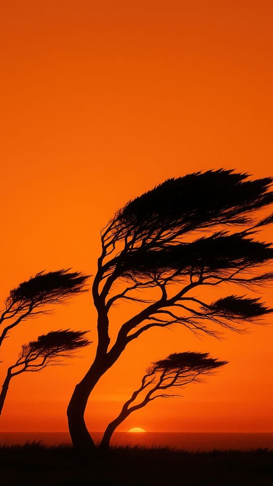 Windy Trees Scenery Images | Free Photos, PNG Stickers, Wallpapers ...