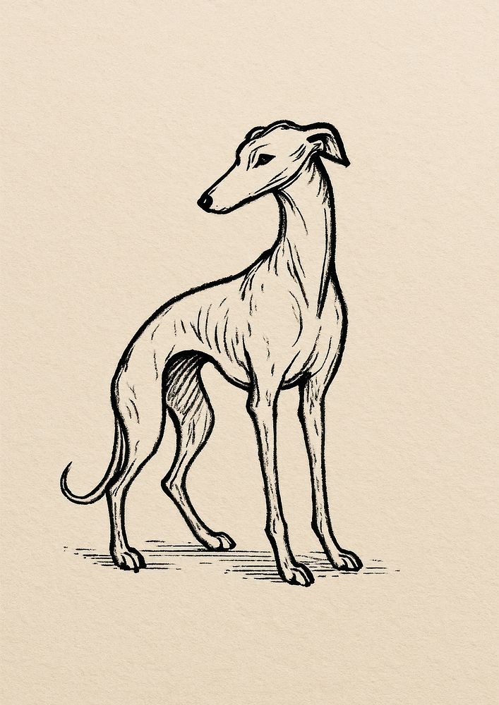Dog+sketch+wallpaper Paper Drawing Images | Free Photos, PNG Stickers ...