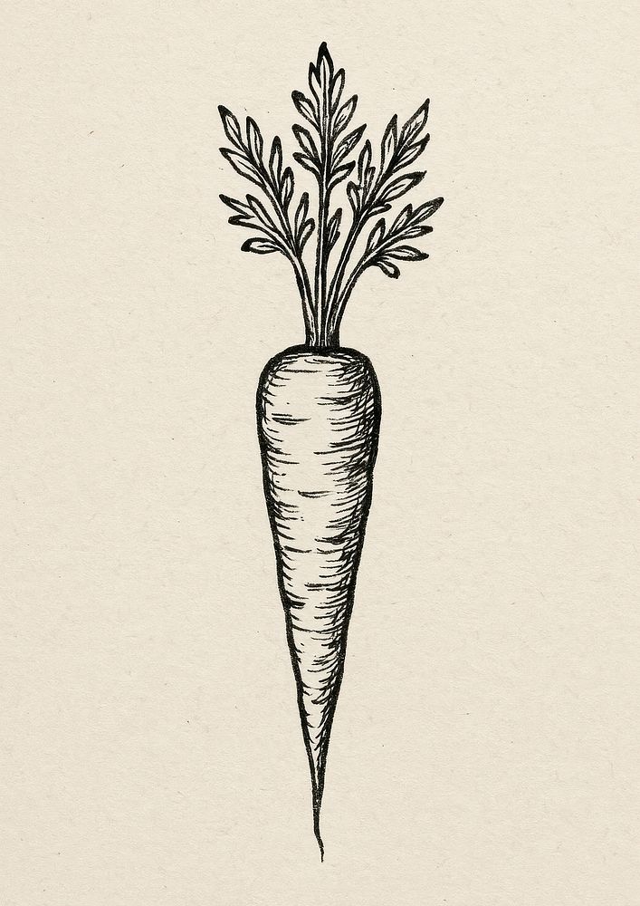 Carrot Wallpaper Vegetable Paper Images | Free Photos, PNG Stickers ...