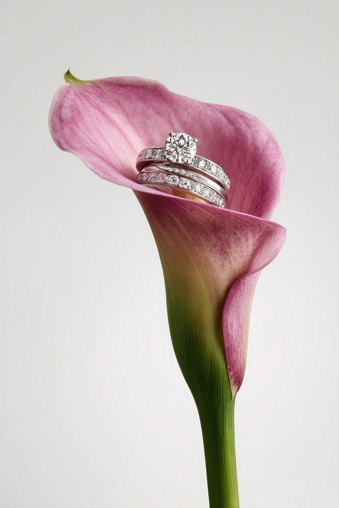 Diamond Minimal Ring Light Images | Free Photos, PNG Stickers ...