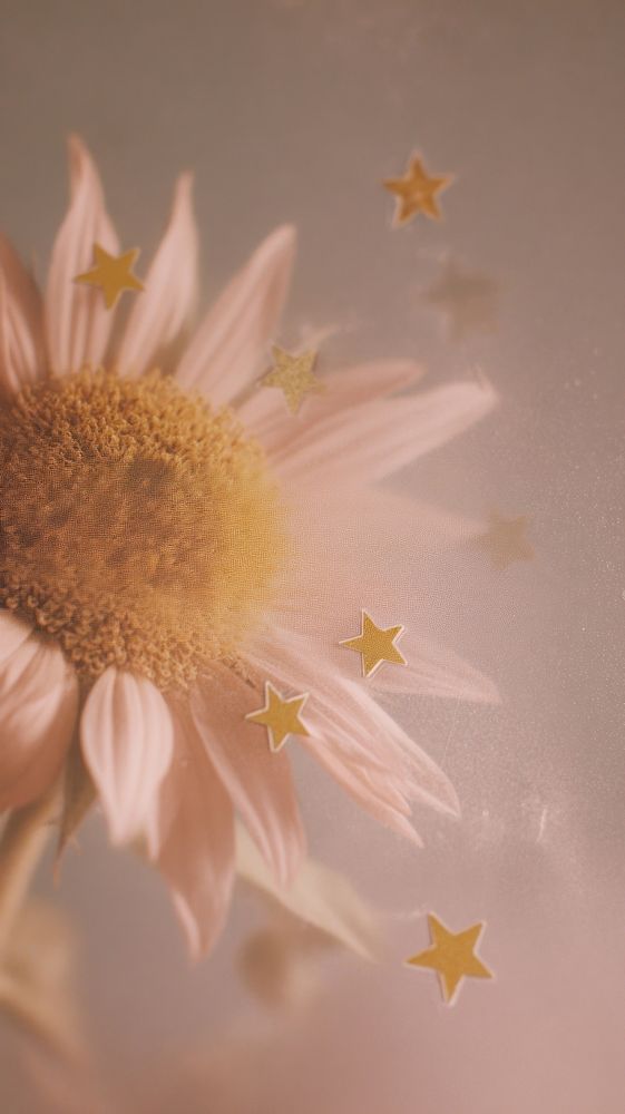 Wallpaper Minimalism JPEG Mobile Images | Free Photos, PNG Stickers ...