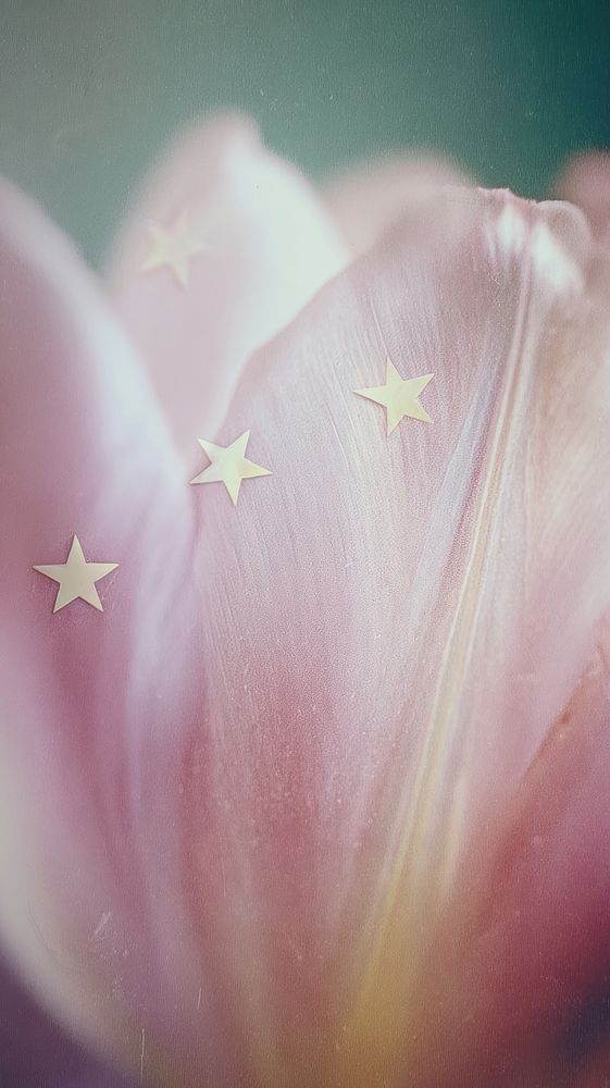 Star+up+images Wallpaper Images | Free Photos, PNG Stickers, Wallpapers ...