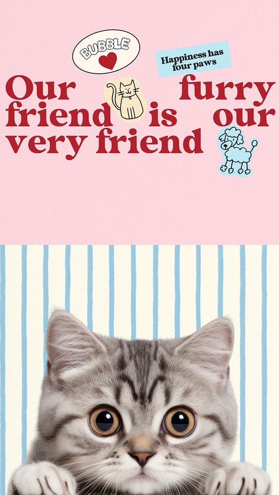 Images+of+furry+cats Design Images | Free Photos, PNG Stickers ...