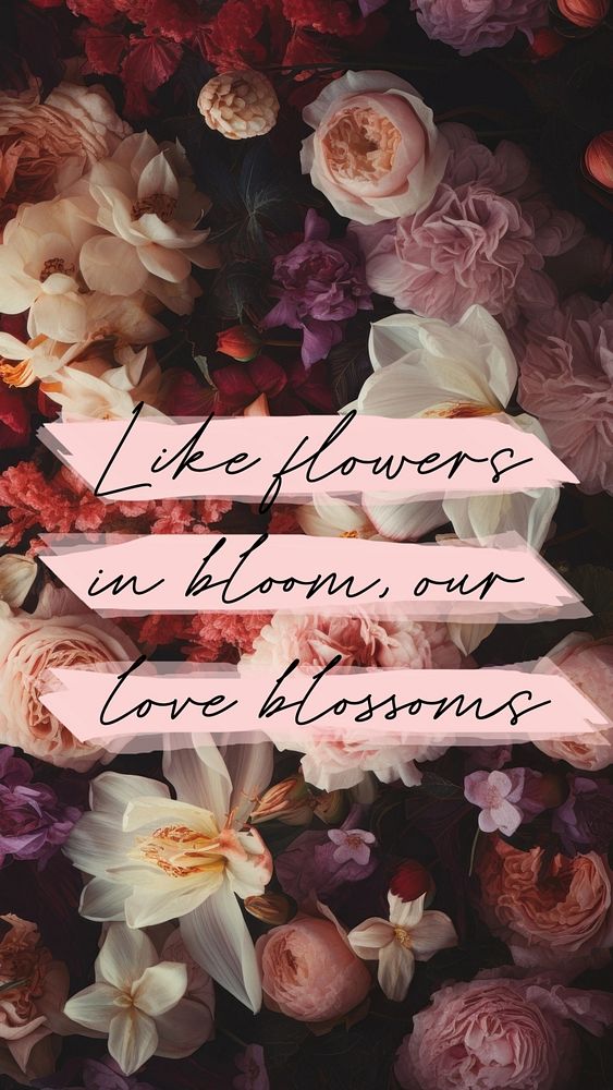 Hd Art Downloadable Wallpaper Images | Free Photos, PNG Stickers ...