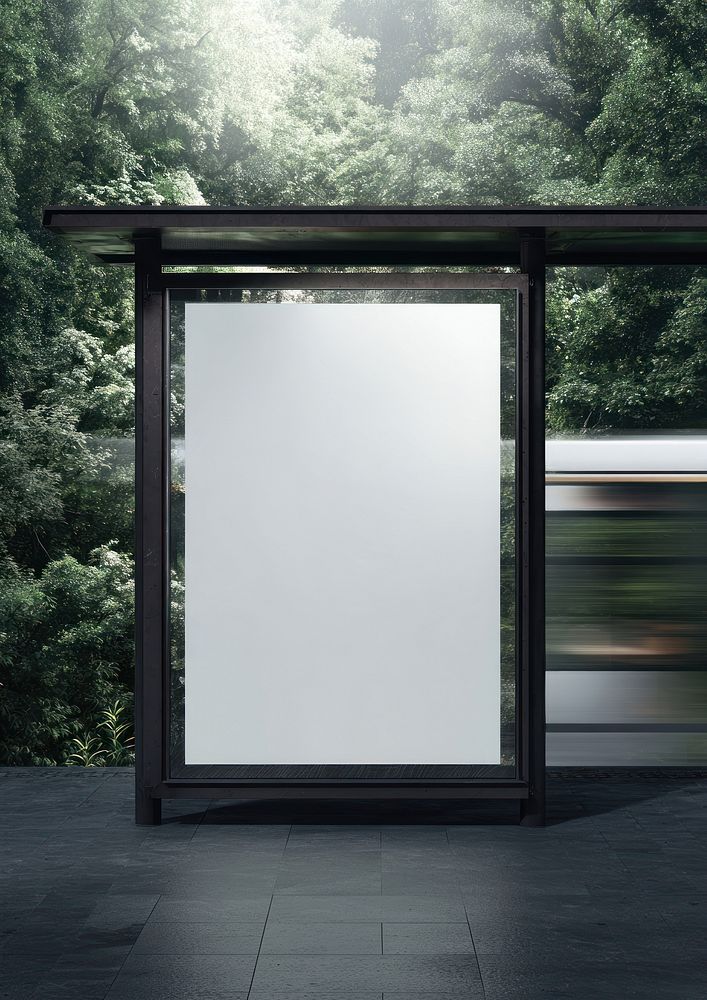 Light Forest Trees Background Nature Images | Free Photos, PNG Stickers ...