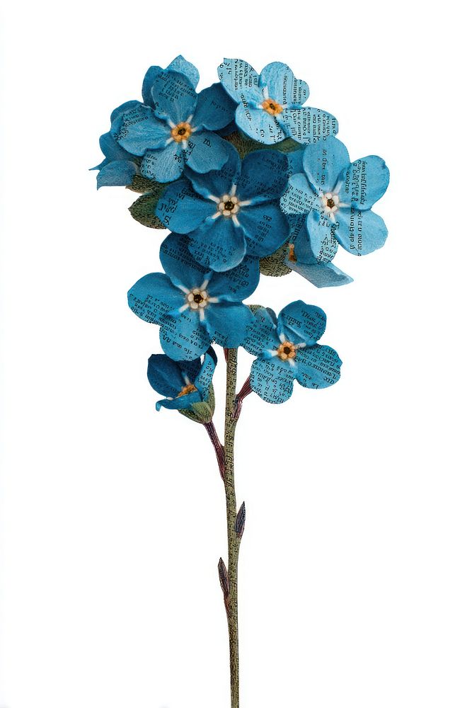 Leaves+cut+out Texture Paper Book Images | Free Photos, PNG Stickers ...