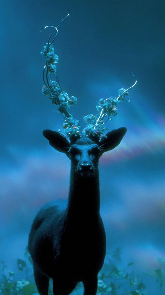 Deer+wallpaper Forest Art Images | Free Photos, PNG Stickers ...