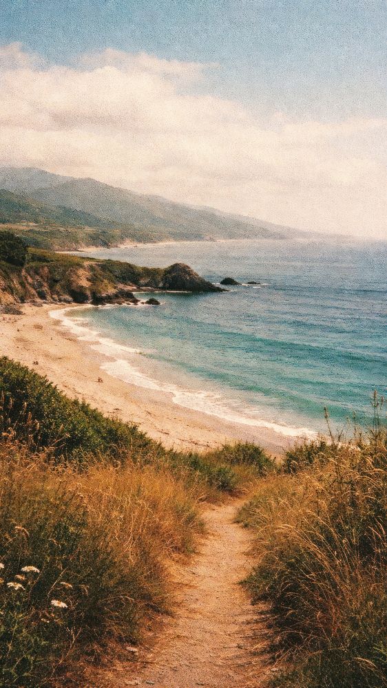 Grasses And Beach Sea Nature Images | Free Photos, PNG Stickers ...