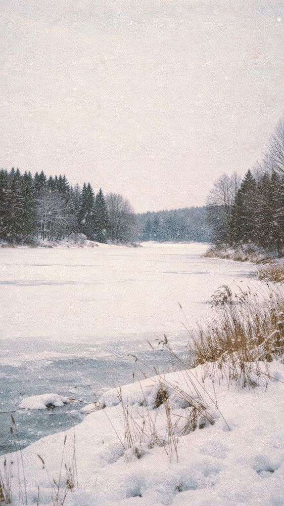 Image+of+ice+and+snow Nature Images | Free Photos, PNG Stickers ...