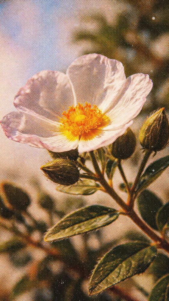 Pixel+art+rock Halftone Retro Images | Free Photos, PNG Stickers ...