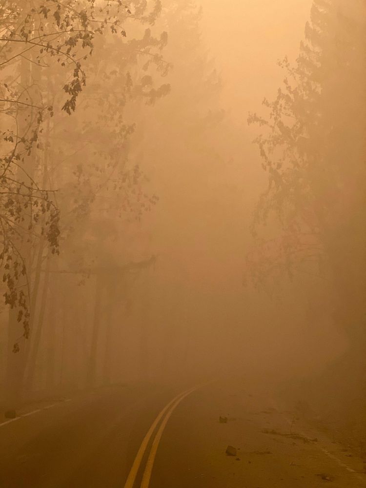 Heavy smoke Lionshead, Beachie Creek | Free Photo - rawpixel