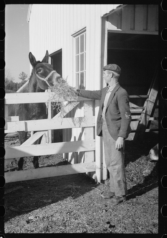 [Untitled photo, possibly related to: | Free Photo - rawpixel