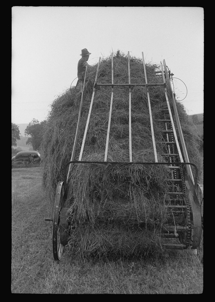 [Untitled photo, possibly related to: | Free Photo - rawpixel