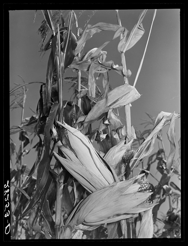 [Untitled photo, possibly related to: | Free Photo - rawpixel