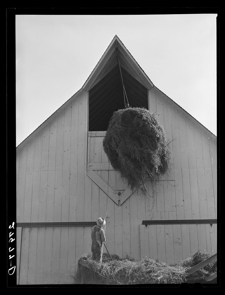 Loading hay barn. Maxwell farm, | Free Photo - rawpixel