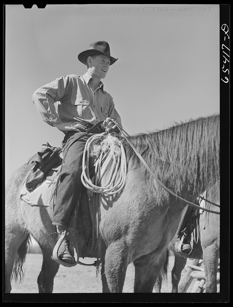 Beaverhead County, Montana. Cowhand on the Spokane | Free Photo - rawpixel