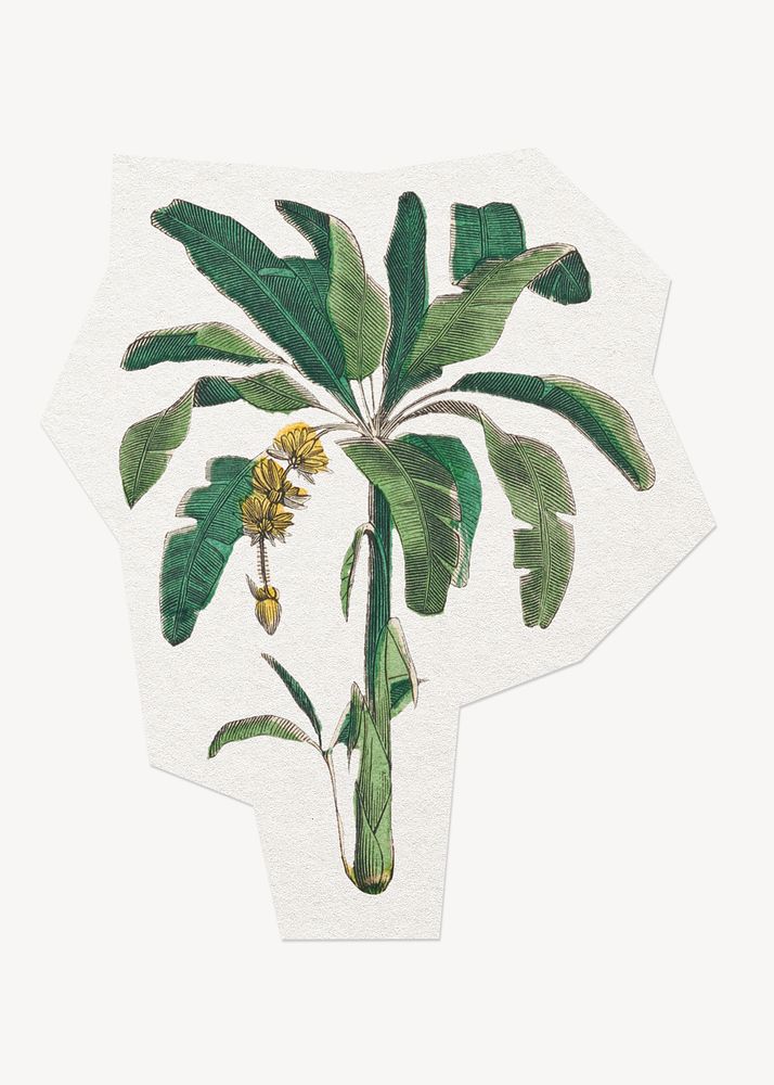 sticker, paper craft collage element | Premium Photo - rawpixel