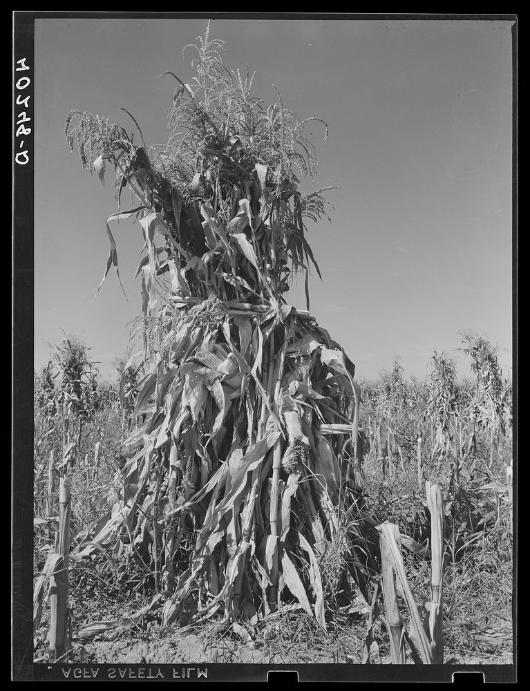 Churchtown (vicinity), Lancaster County, Pennsylvania. | Free Photo ...