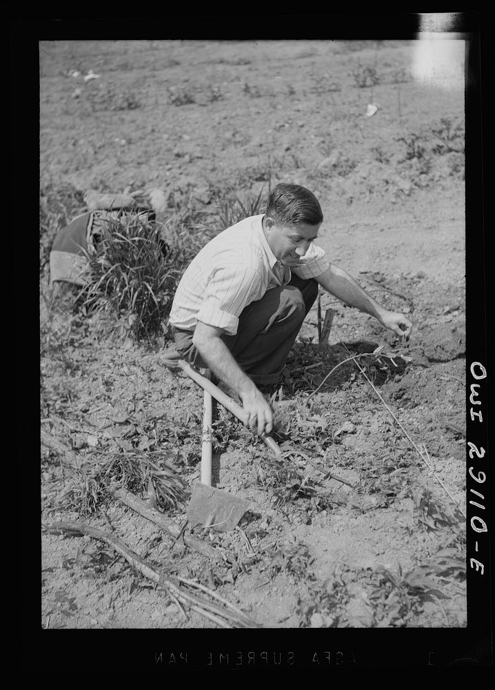 Washington, D.C. Mr. Ben Botkin | Free Photo - rawpixel