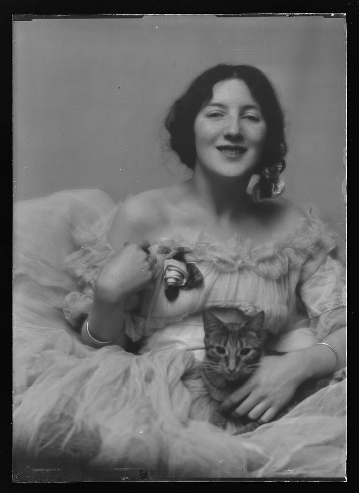 Cat Creative Commons Portrait Images | Free Photos, PNG Stickers ...