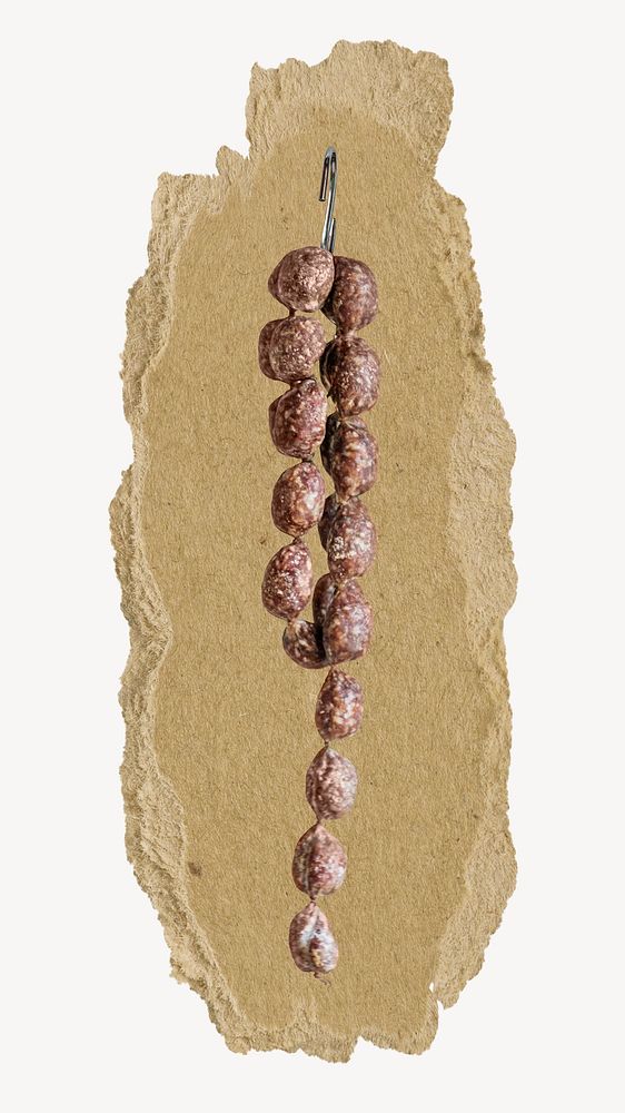 Salami meat, ripped paper collage | Free Photo - rawpixel