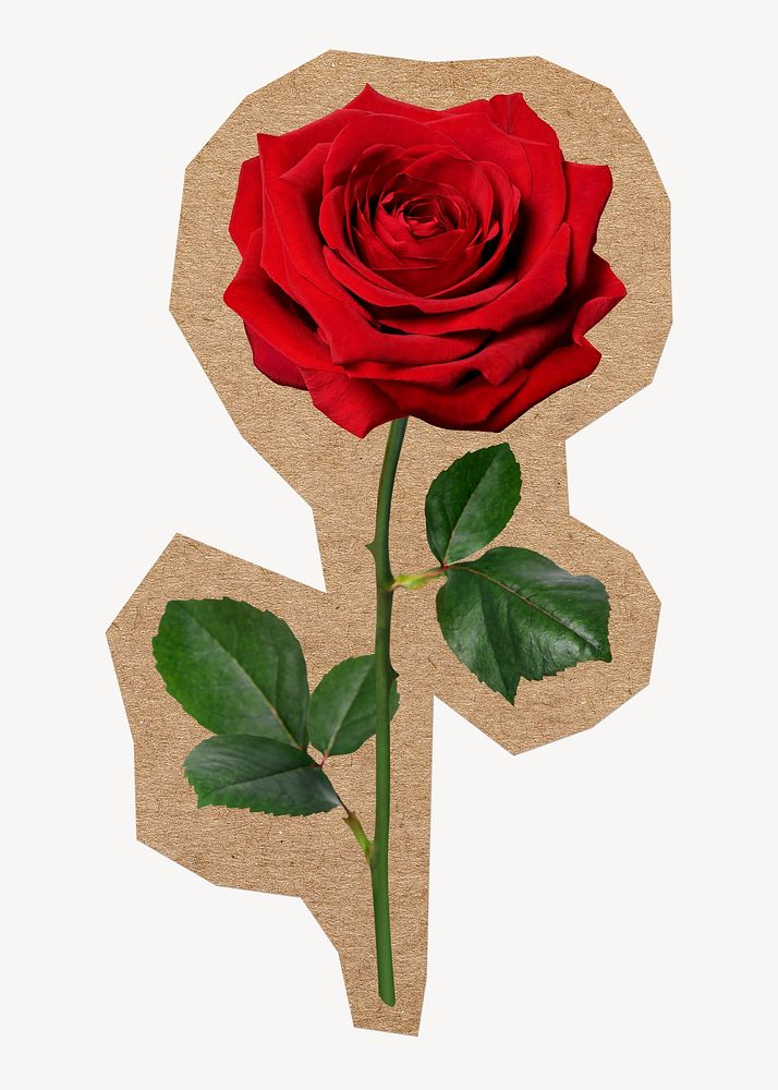 Red rose, brown paper border | Free Photo - rawpixel