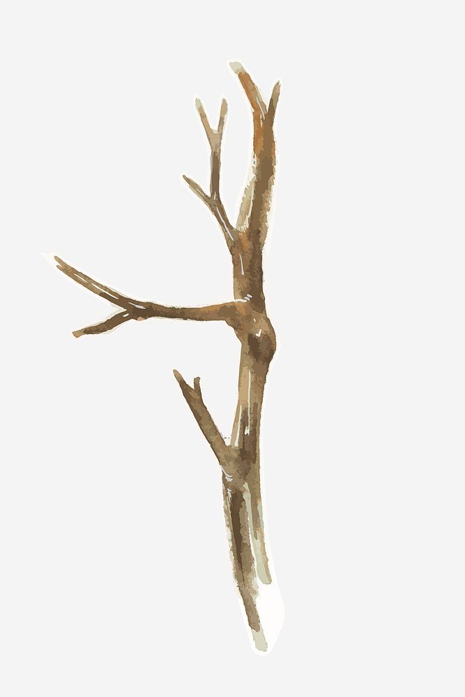 Tree branch psd botanical drawing | Premium PSD - rawpixel